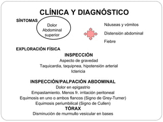 Pancreas Dra. Wendy | PPT