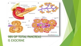Pancreas as endocrine function | PPTX