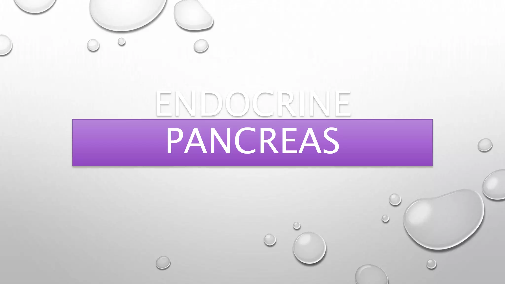 Pancreas | PPTX