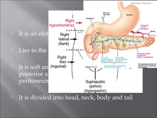 Pancreas | PPT