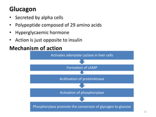 Pancreas | PPTX