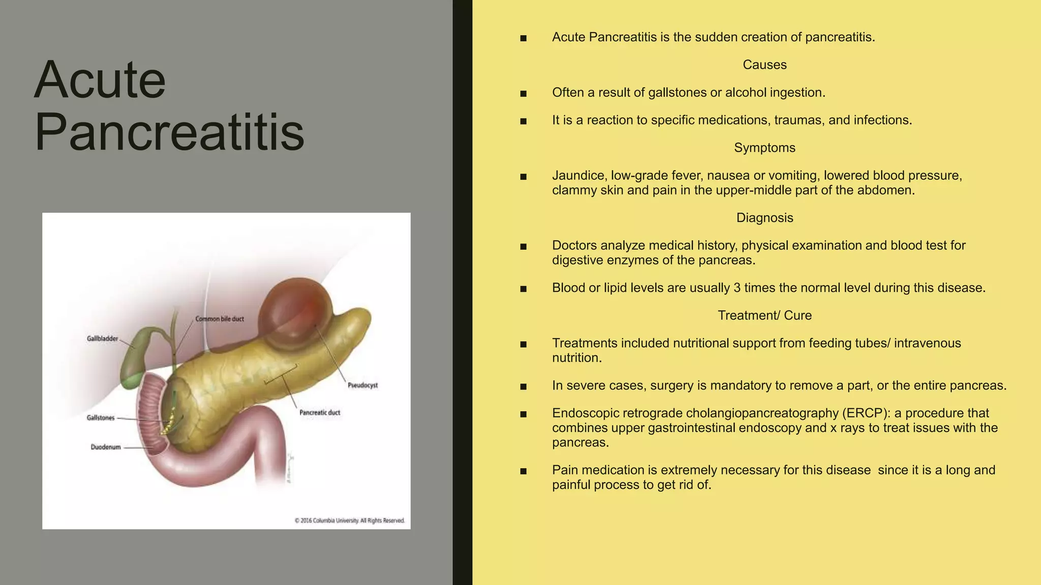 Pancreas | PPTX