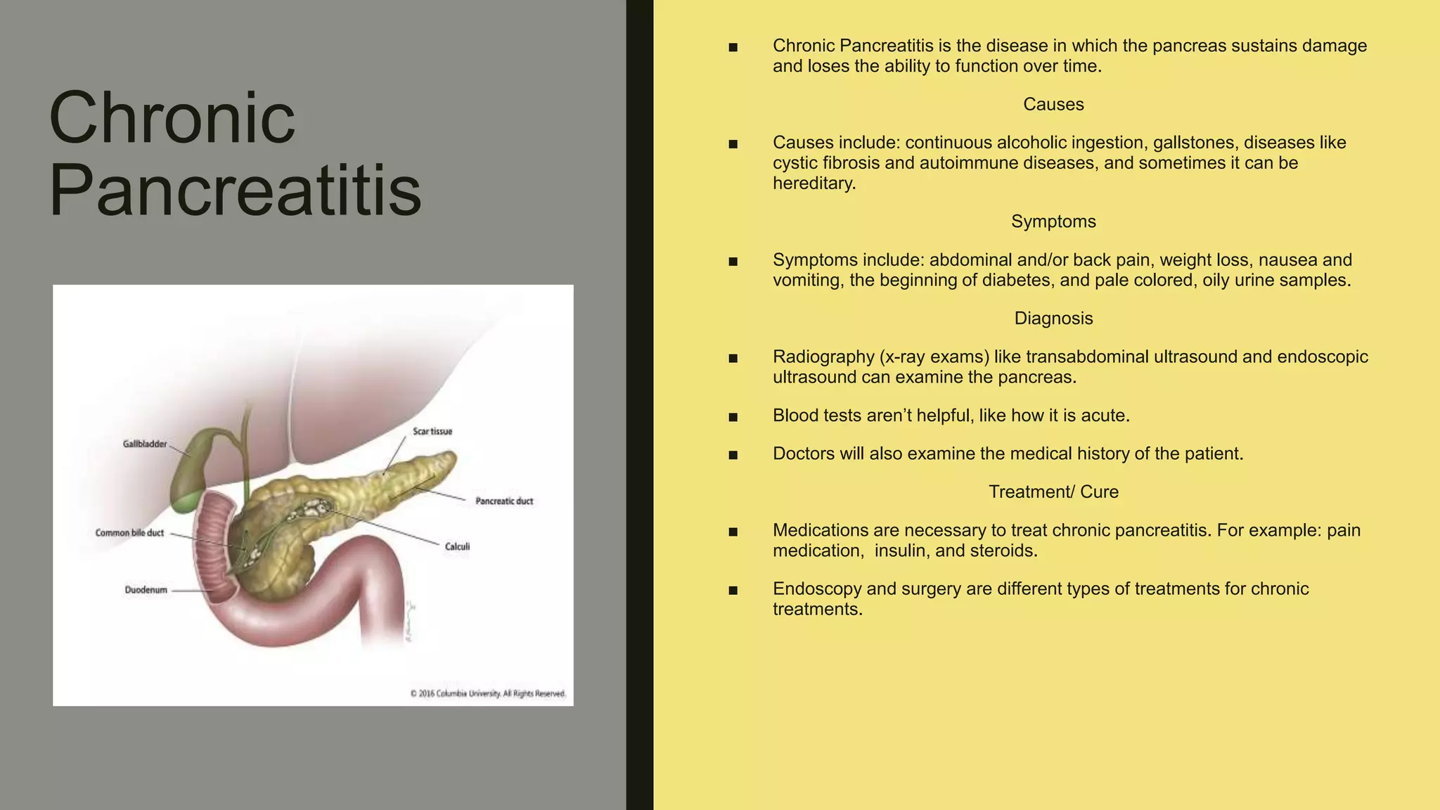 Pancreas | PPTX