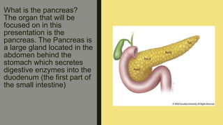 Pancreas | PPTX | Endocrine and Metabolic Diseases | Diseases and ...