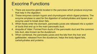 Pancreas | PPTX | Endocrine and Metabolic Diseases | Diseases and ...