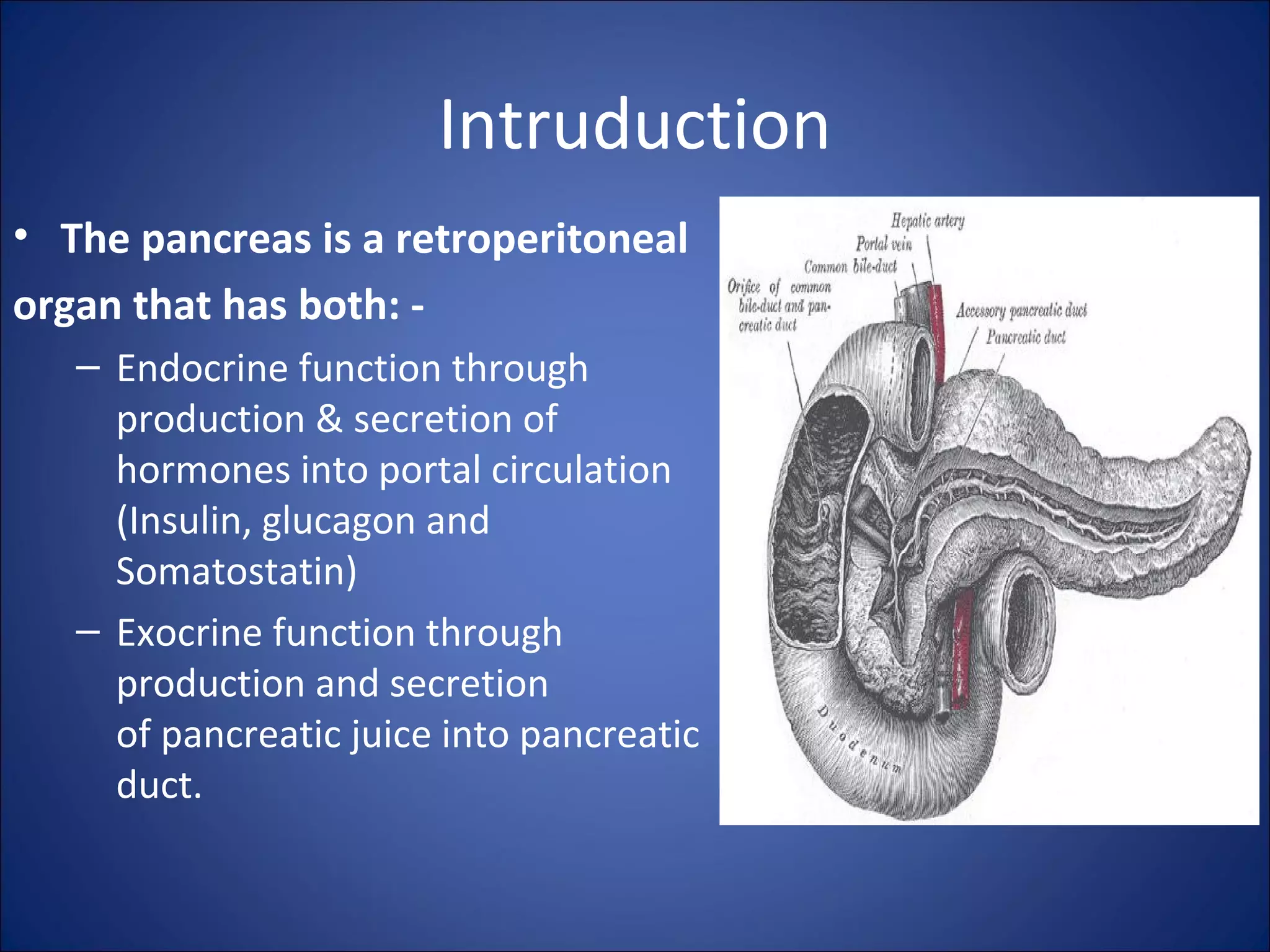 Pancreas | PPT