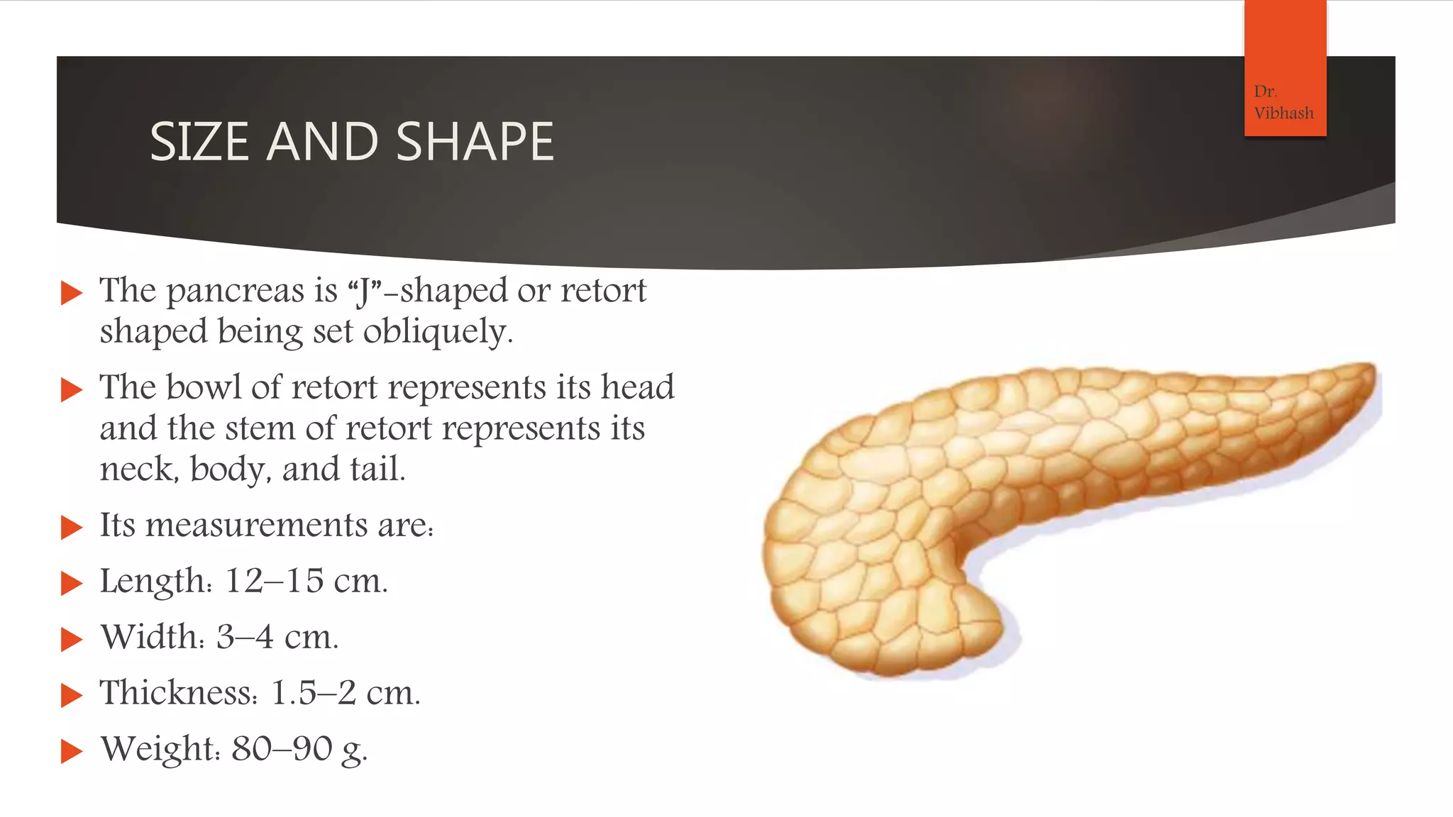 pancreas-180218085812.pdf