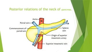 pancreas-180218085812.pptx11111111111111 | PPTX