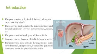 pancreas-180218085812.pptx11111111111111 | PPTX