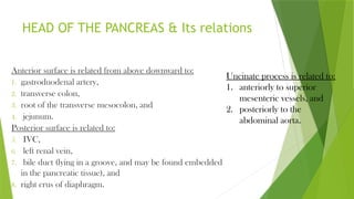 pancreas-180218085812.pptx11111111111111 | PPTX