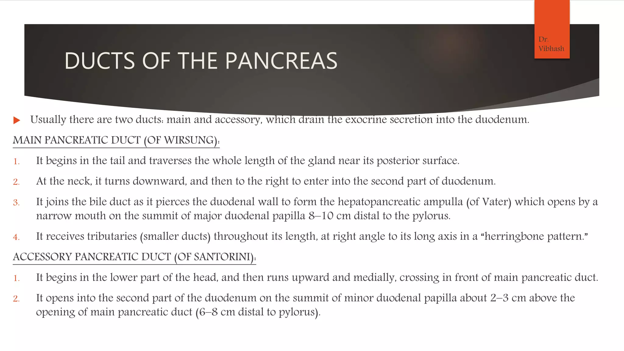 Anatomy of Pancreas | PPTX
