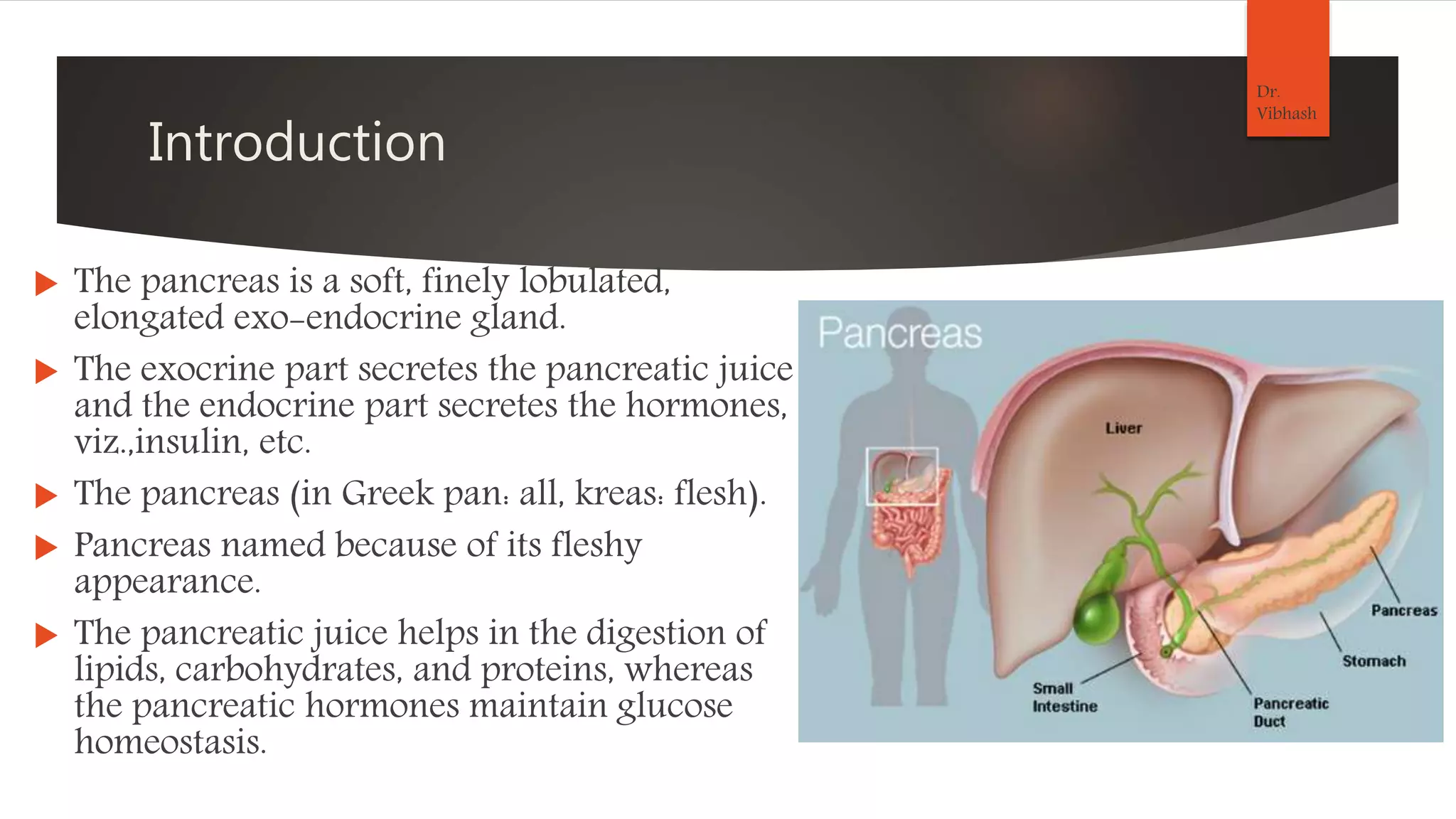 Anatomy of Pancreas | PPTX