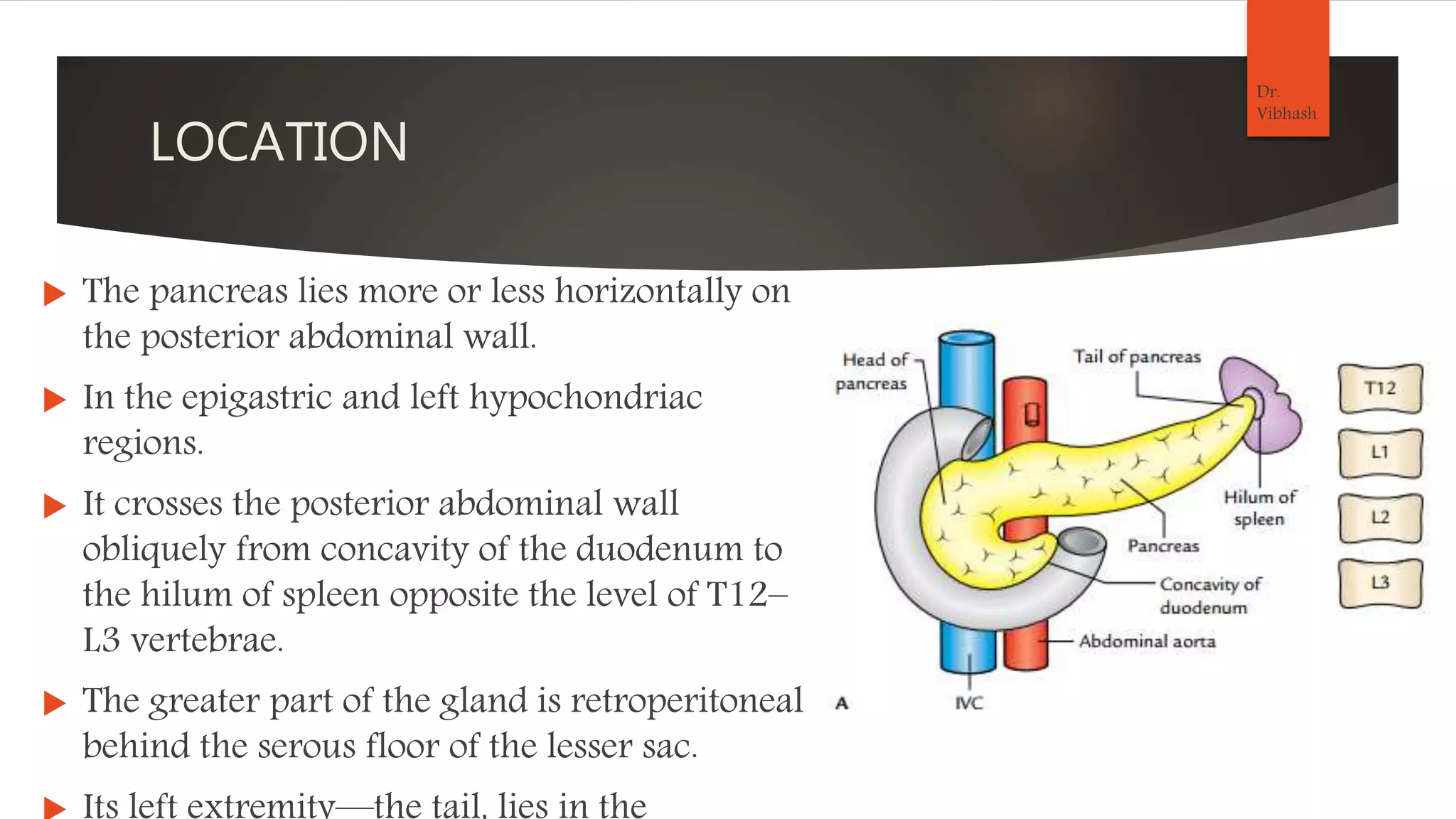 Anatomy of Pancreas | PPTX