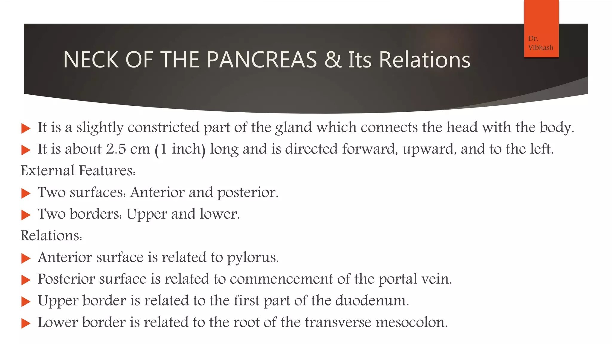 Anatomy of Pancreas | PPTX