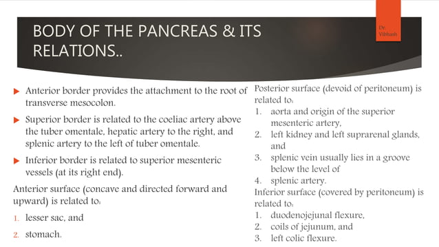 Anatomy of Pancreas | PPTX