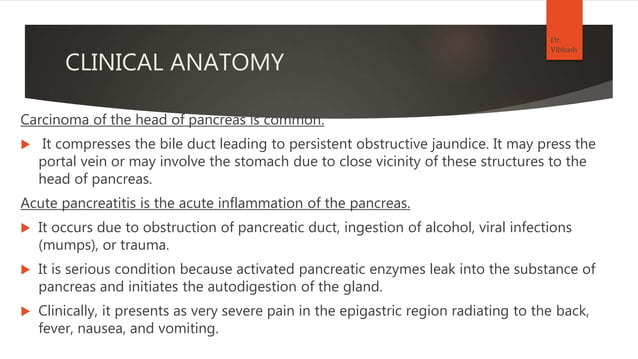 Anatomy of Pancreas | PPTX