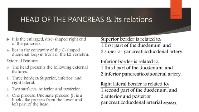 Anatomy of Pancreas | PPTX