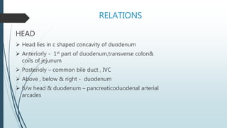Pancreas | PPTX