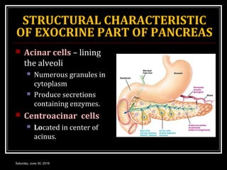 PANCREAS | PPT
