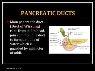 PANCREAS | PPT