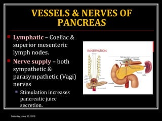 PANCREAS | PPT