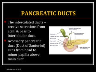 PANCREAS | PPT