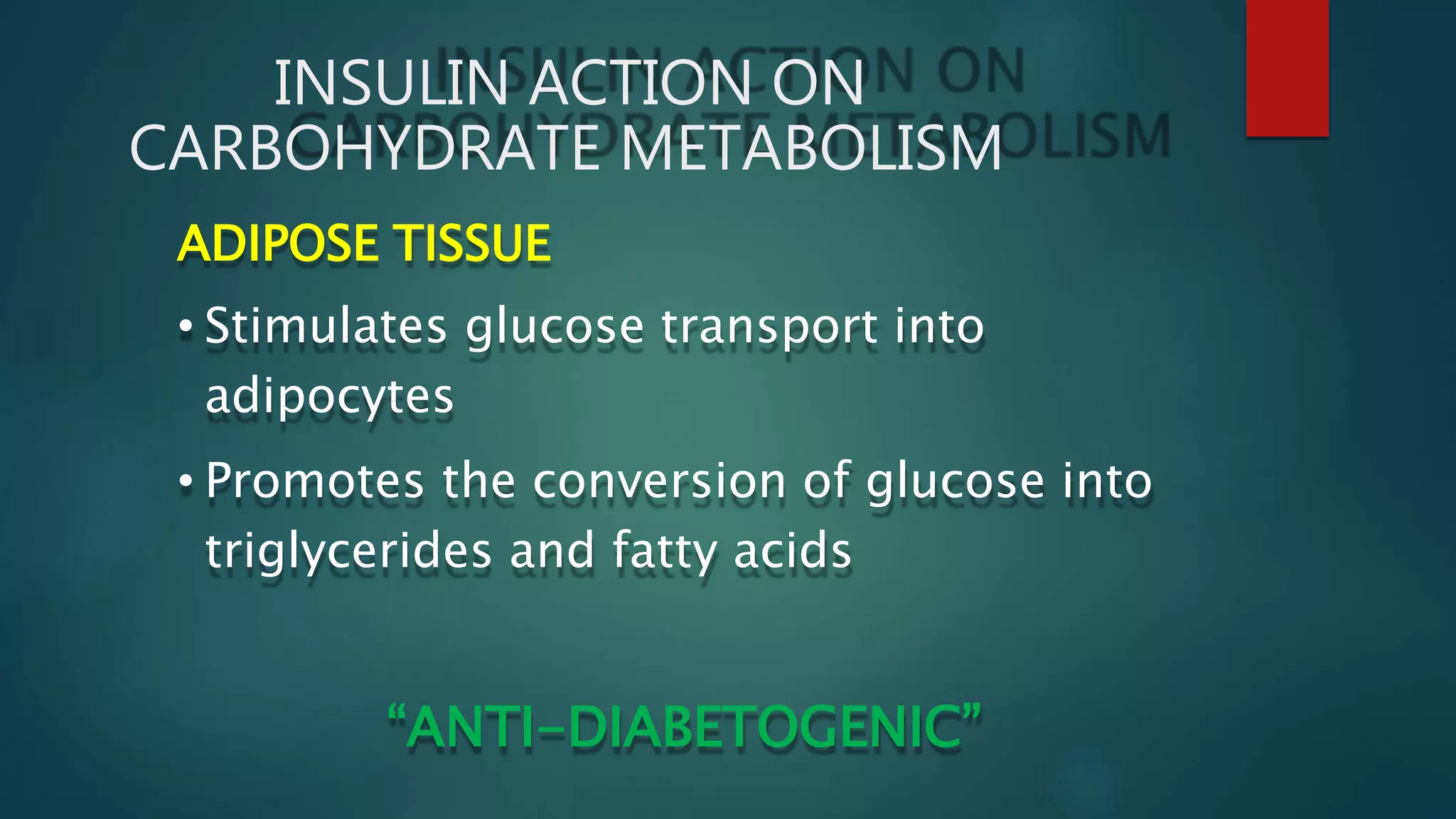 ENDOCRINE PANCREAS, INSULIN, GLUCAGON | PPTX