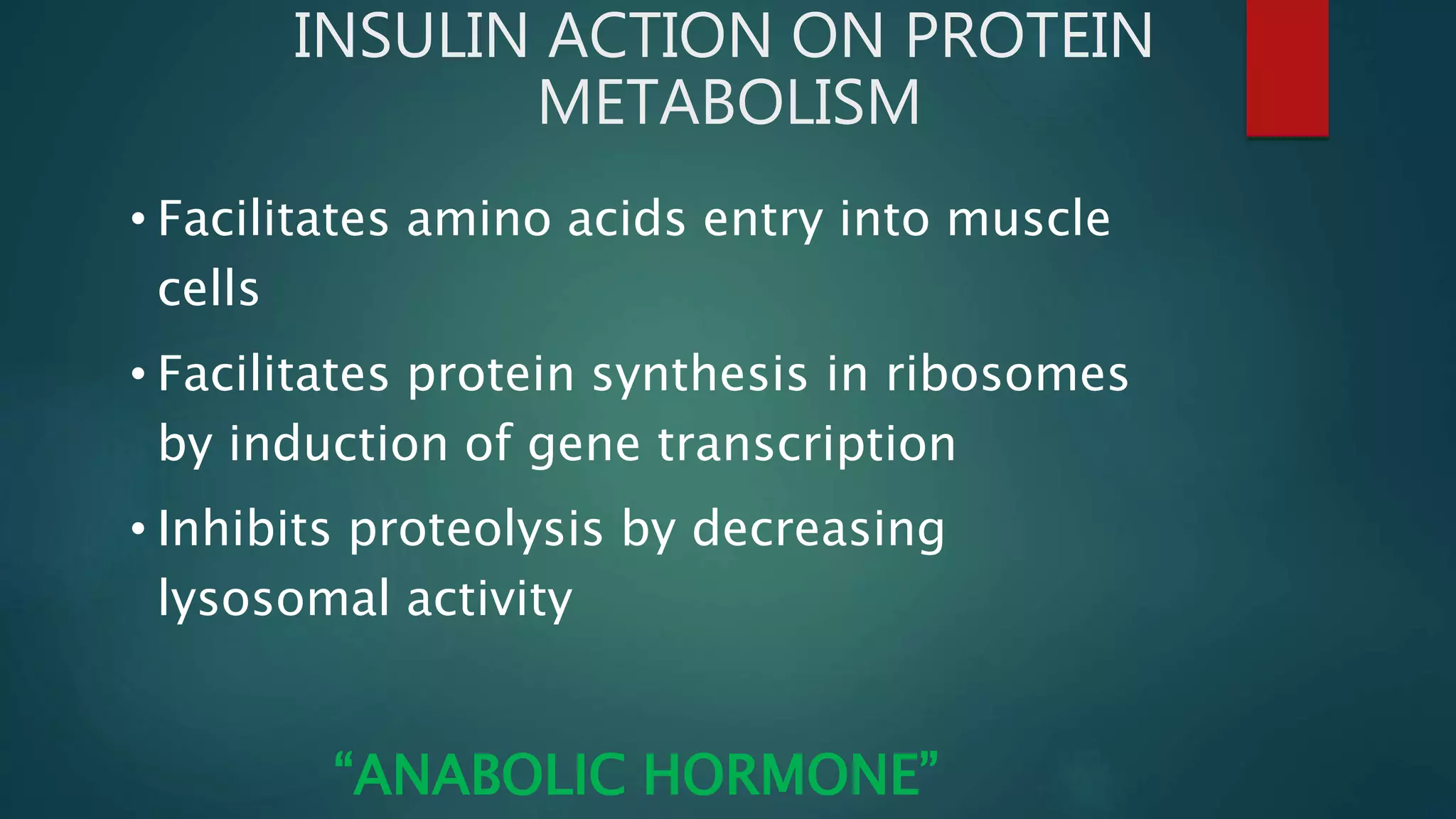 ENDOCRINE PANCREAS, INSULIN, GLUCAGON | PPTX