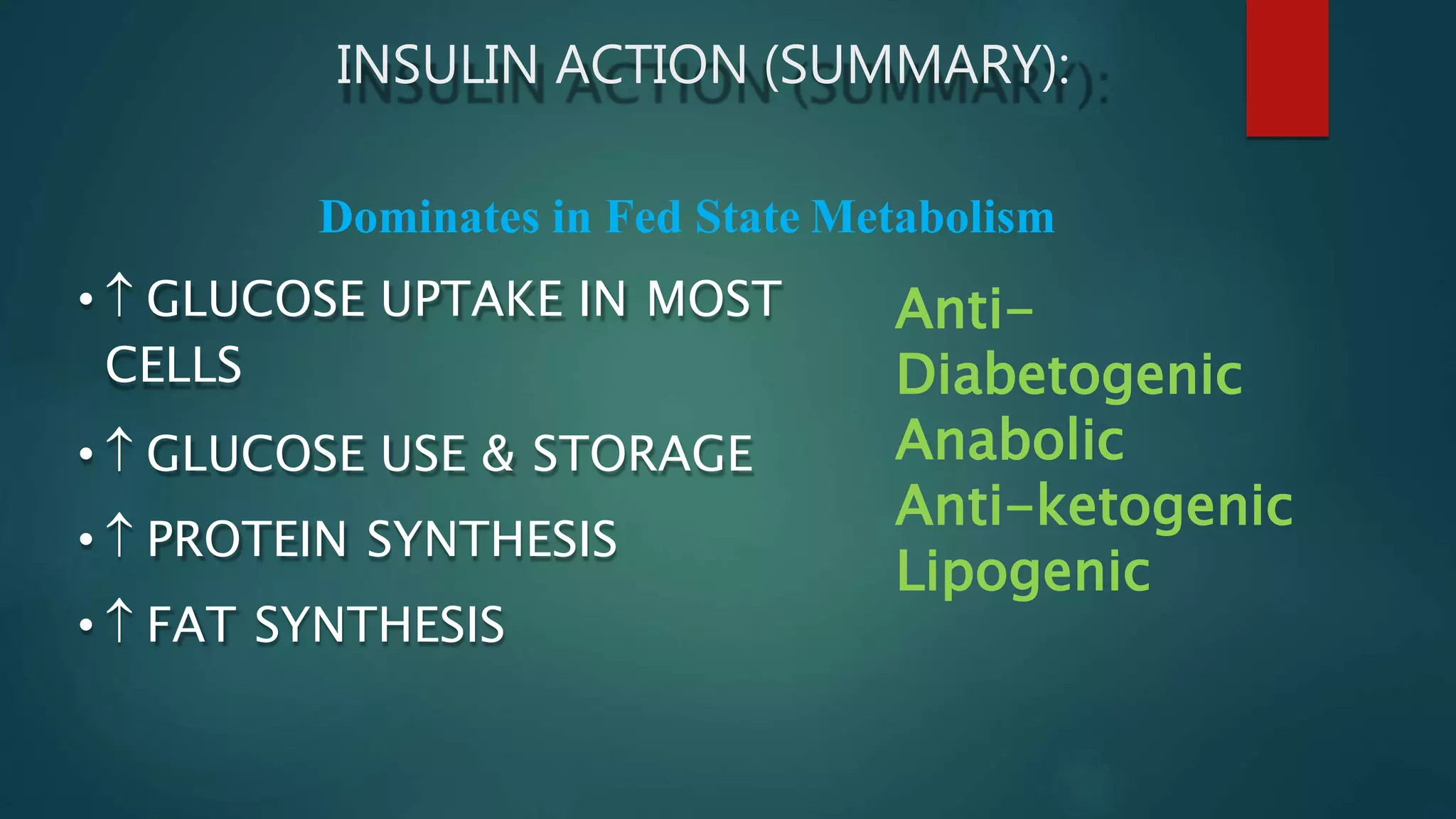 ENDOCRINE PANCREAS, INSULIN, GLUCAGON | PPTX