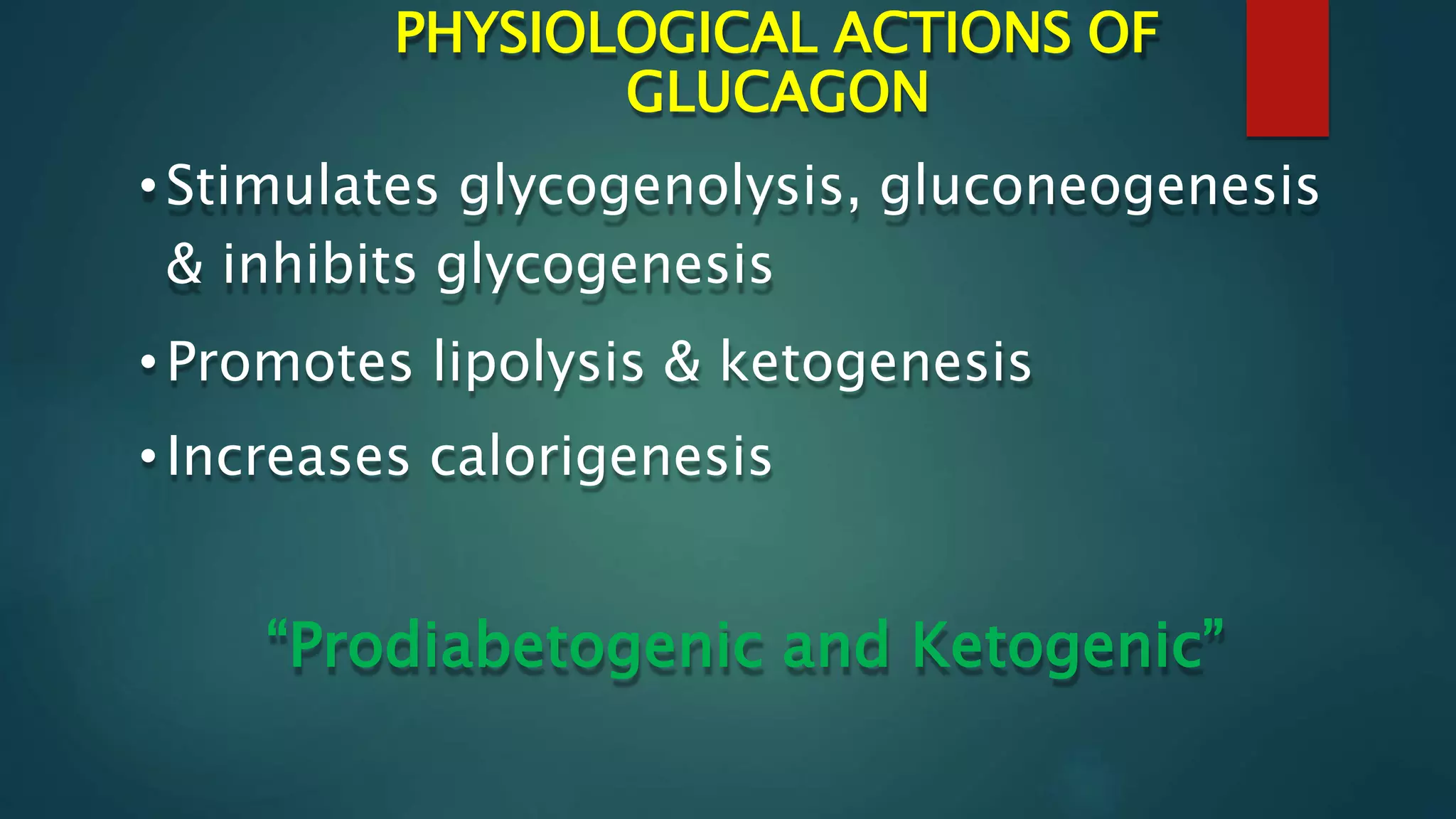 ENDOCRINE PANCREAS, INSULIN, GLUCAGON | PPTX