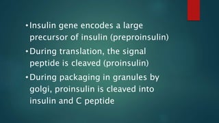 ENDOCRINE PANCREAS, INSULIN, GLUCAGON | PPTX
