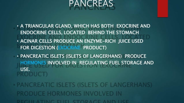 ENDOCRINE PANCREAS, INSULIN, GLUCAGON | PPTX | Endocrine and Metabolic ...