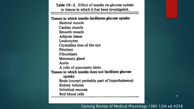 ENDOCRINE PANCREAS, INSULIN, GLUCAGON | PPTX | Endocrine and Metabolic ...
