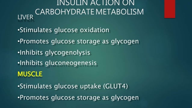 ENDOCRINE PANCREAS, INSULIN, GLUCAGON | PPTX | Endocrine and Metabolic ...