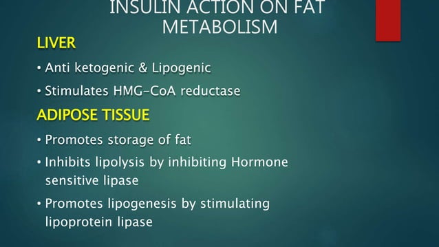 ENDOCRINE PANCREAS, INSULIN, GLUCAGON | PPTX | Endocrine and Metabolic ...