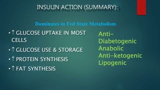 ENDOCRINE PANCREAS, INSULIN, GLUCAGON | PPTX