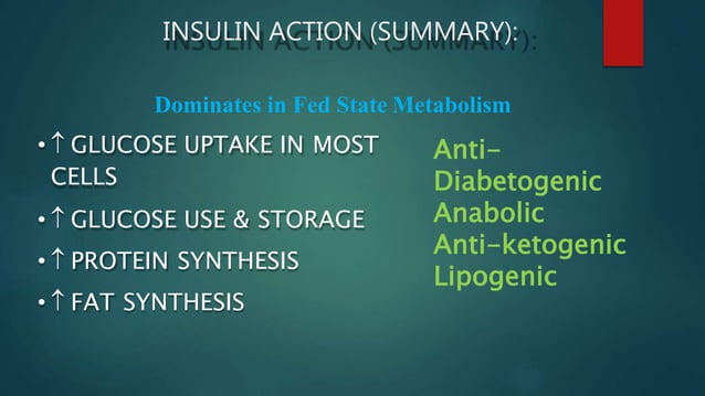 ENDOCRINE PANCREAS, INSULIN, GLUCAGON | PPTX | Endocrine and Metabolic ...