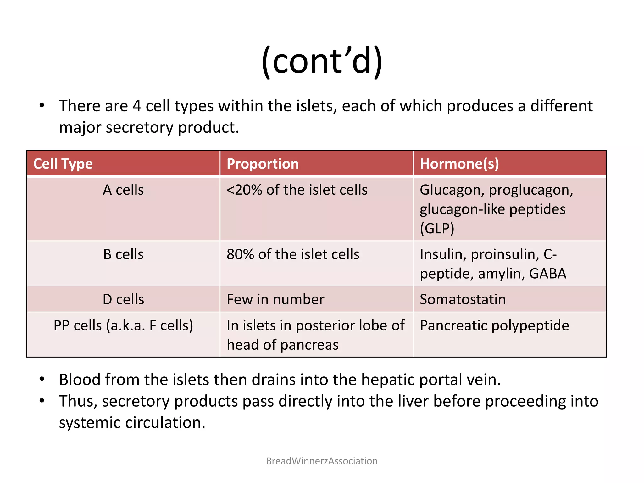 Pancreas - Endocrine System | PPTX