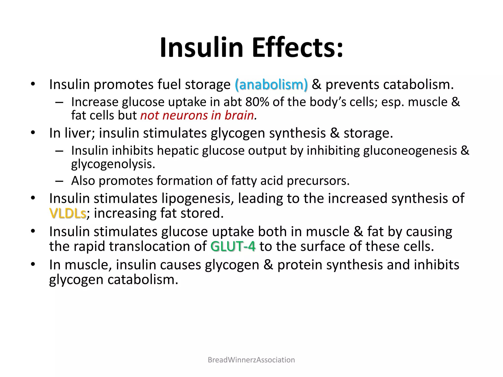 Pancreas - Endocrine System | PPTX