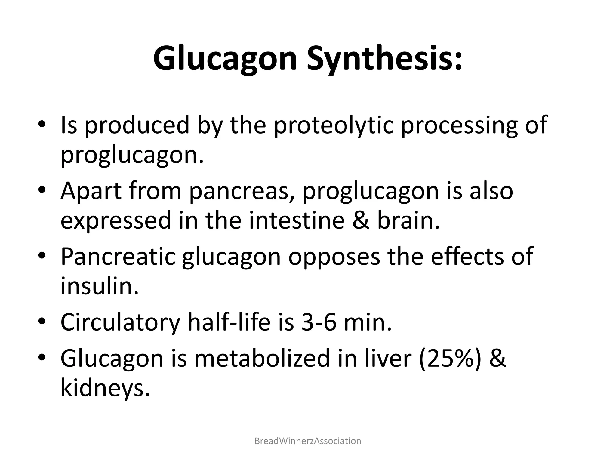Pancreas - Endocrine System | PPTX