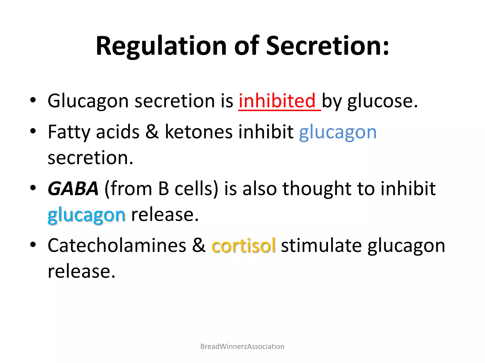 Pancreas - Endocrine System | PPTX