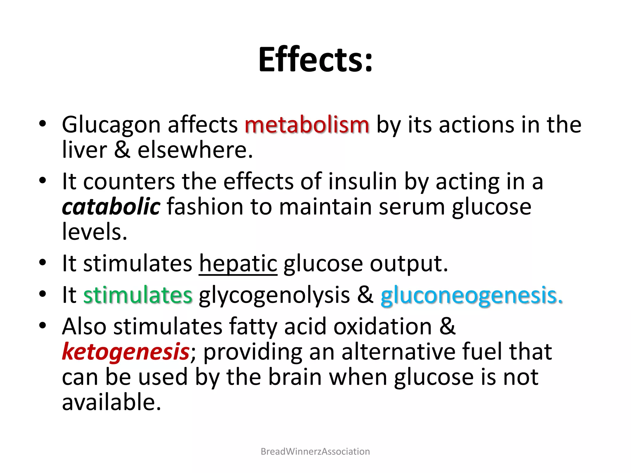 Pancreas - Endocrine System | PPTX