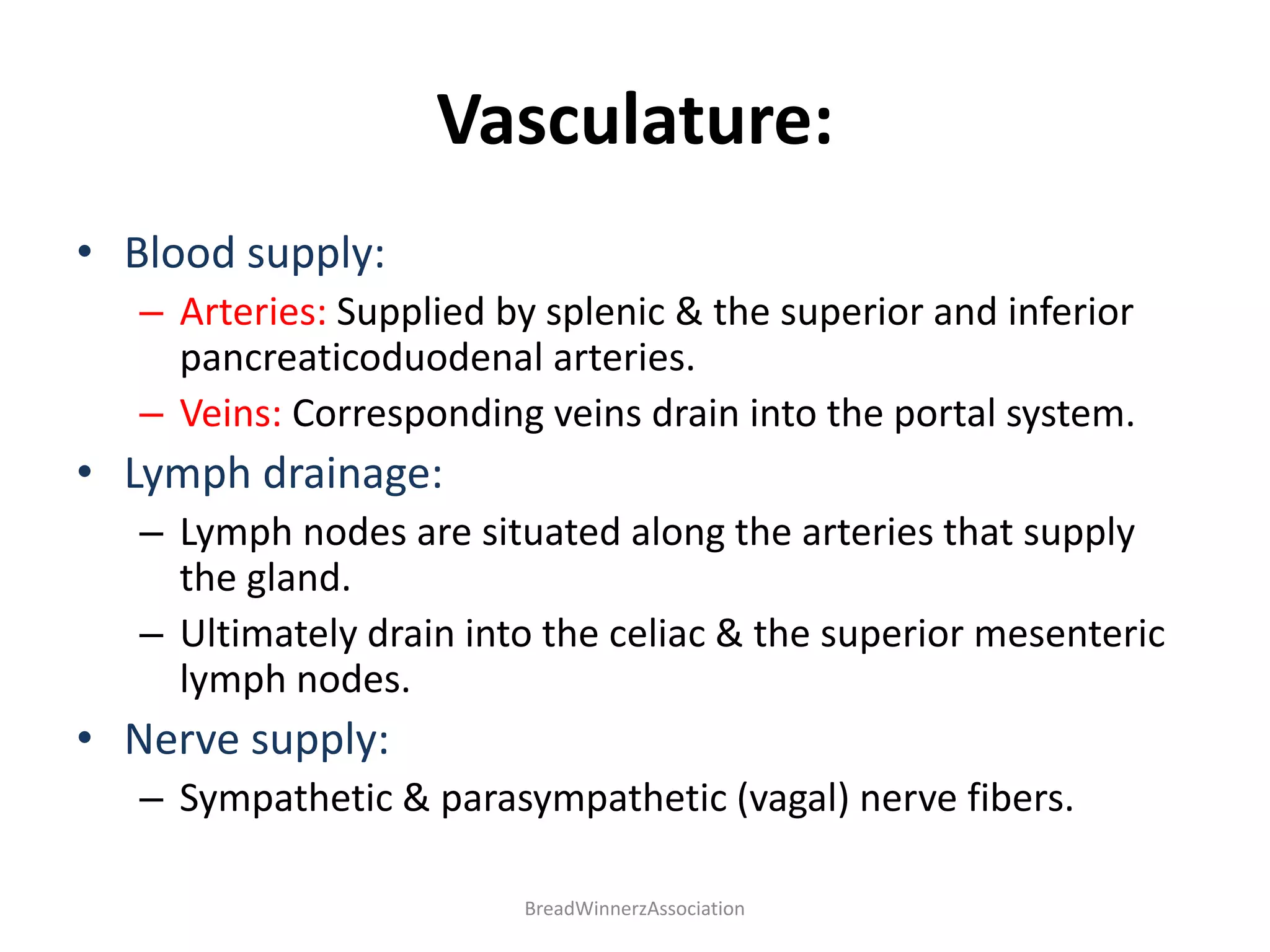 Pancreas - Endocrine System | PPTX