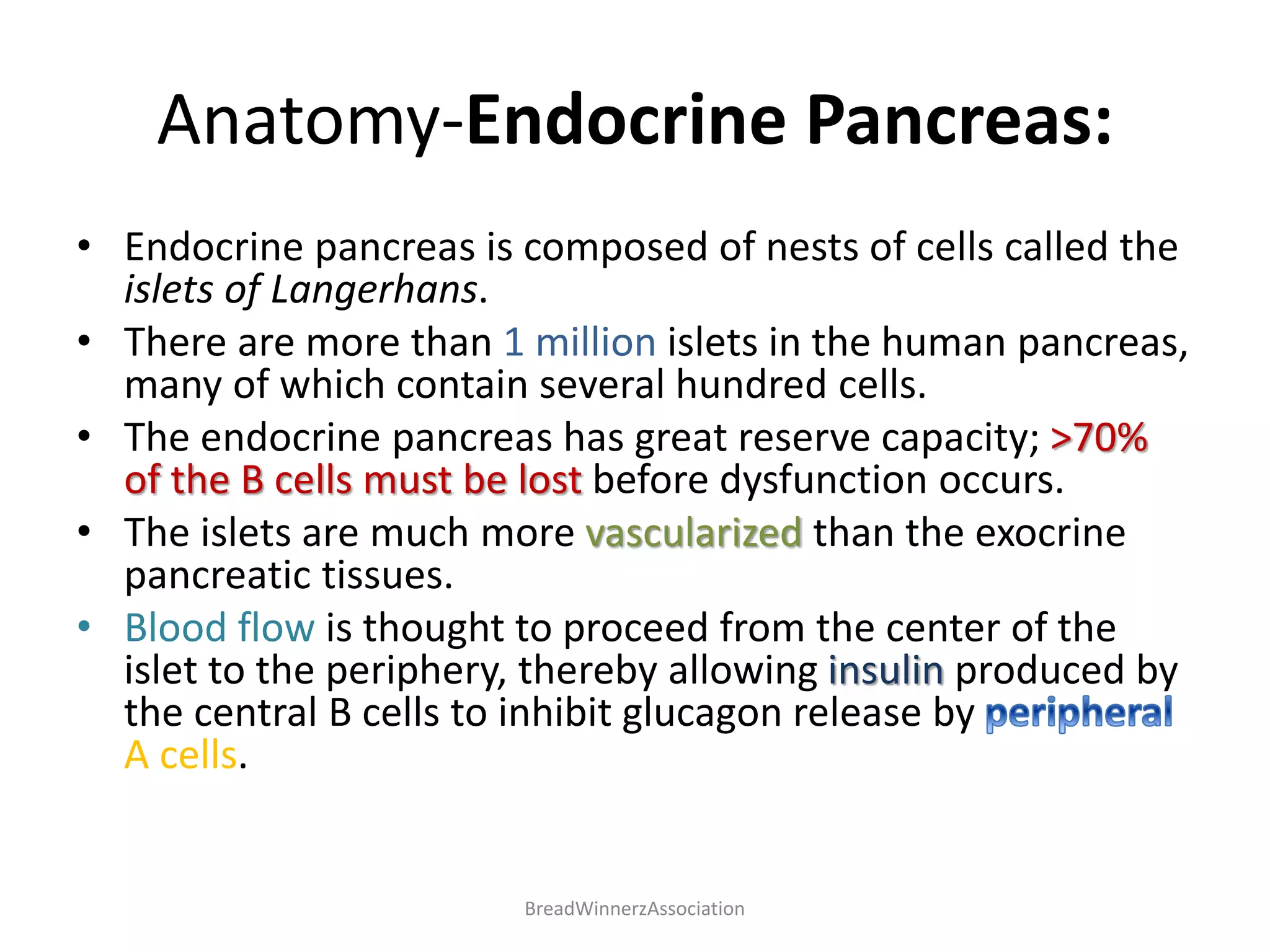 Pancreas - Endocrine System | PPTX