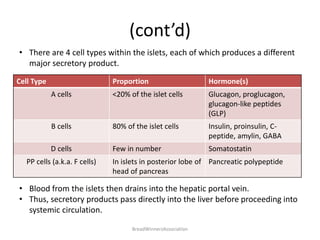 Pancreas - Endocrine System | PPTX