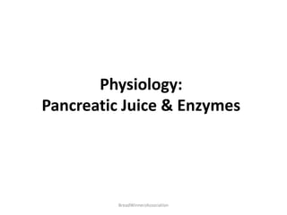 Pancreas - Endocrine System | PPTX