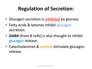 Pancreas - Endocrine System | PPTX