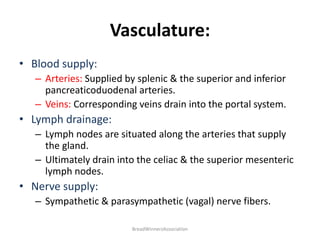 Pancreas - Endocrine System | PPTX