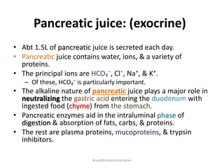 Pancreatic Juices Aka Enzyme