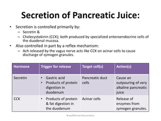 Pancreatic Juices Aka Enzyme